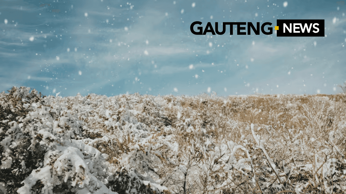 12 Weather Warnings Issued For South Africa: Snow, Rain, Winds & Waves Expected | Gauteng.News